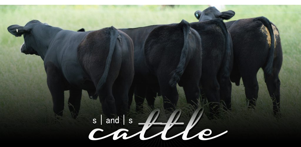 S and S Cattle | Sale