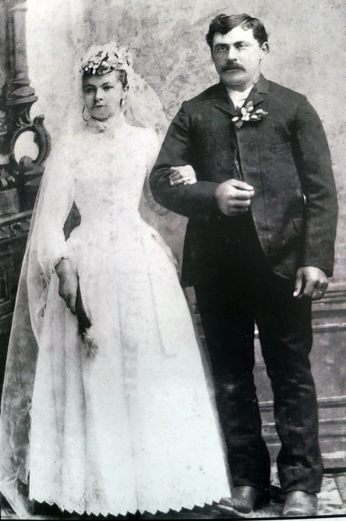 S and S Cattle | History